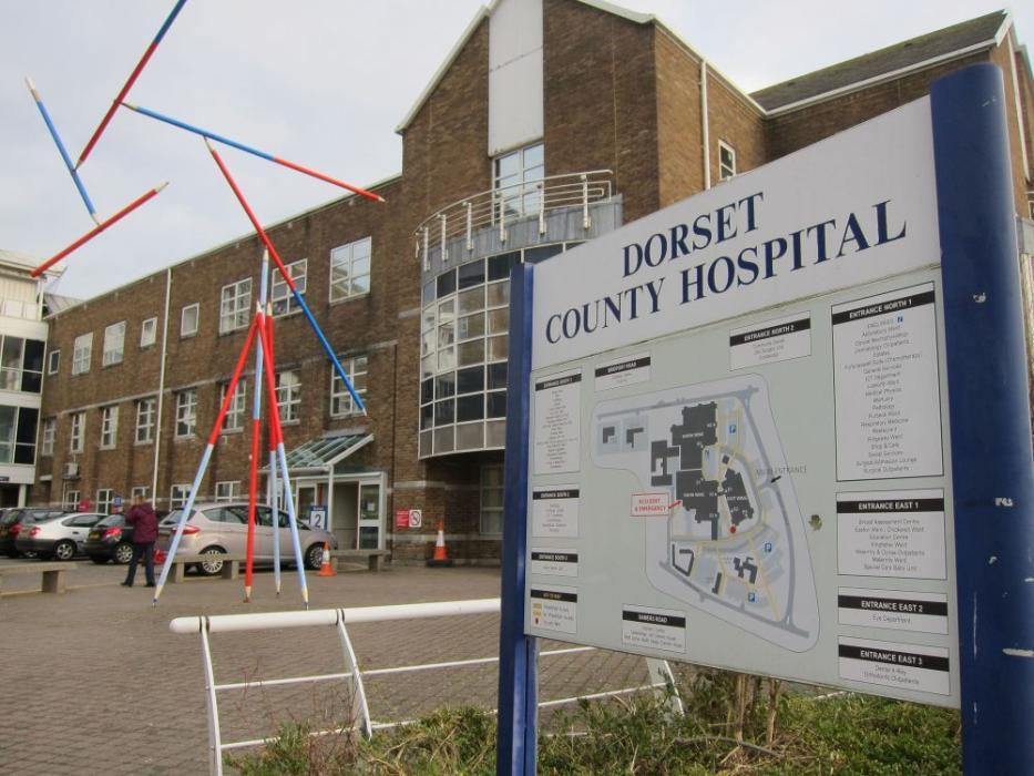 Dorset County Hospital Case Study - Hydro-X