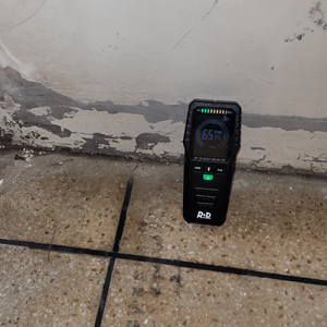Mould and Damp Surveying | Get Your Report | Hydro-X Air